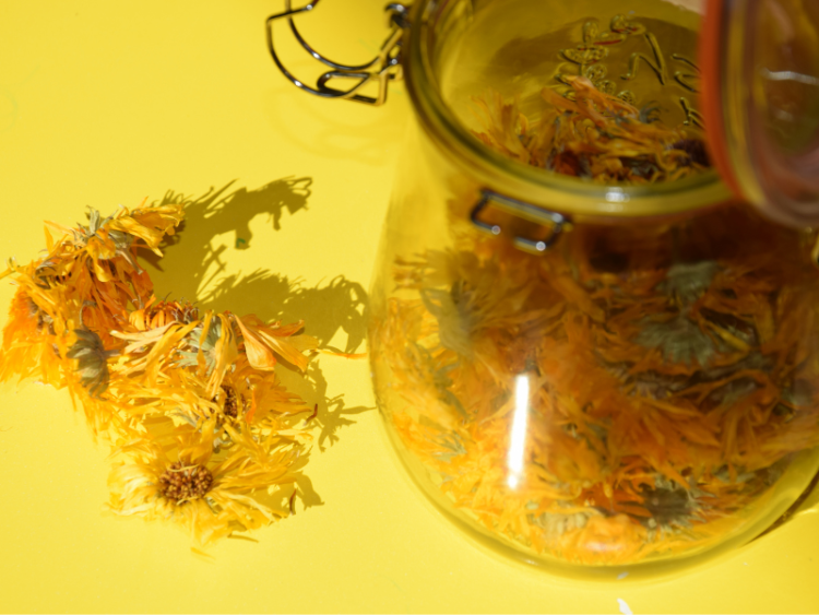 DIY Calendula Lotion Bars – SkinCrest